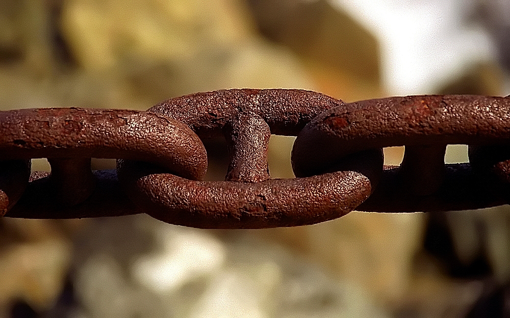 All the Things: When Anxiety Turns to Hoarding | Tacoma Christian ...