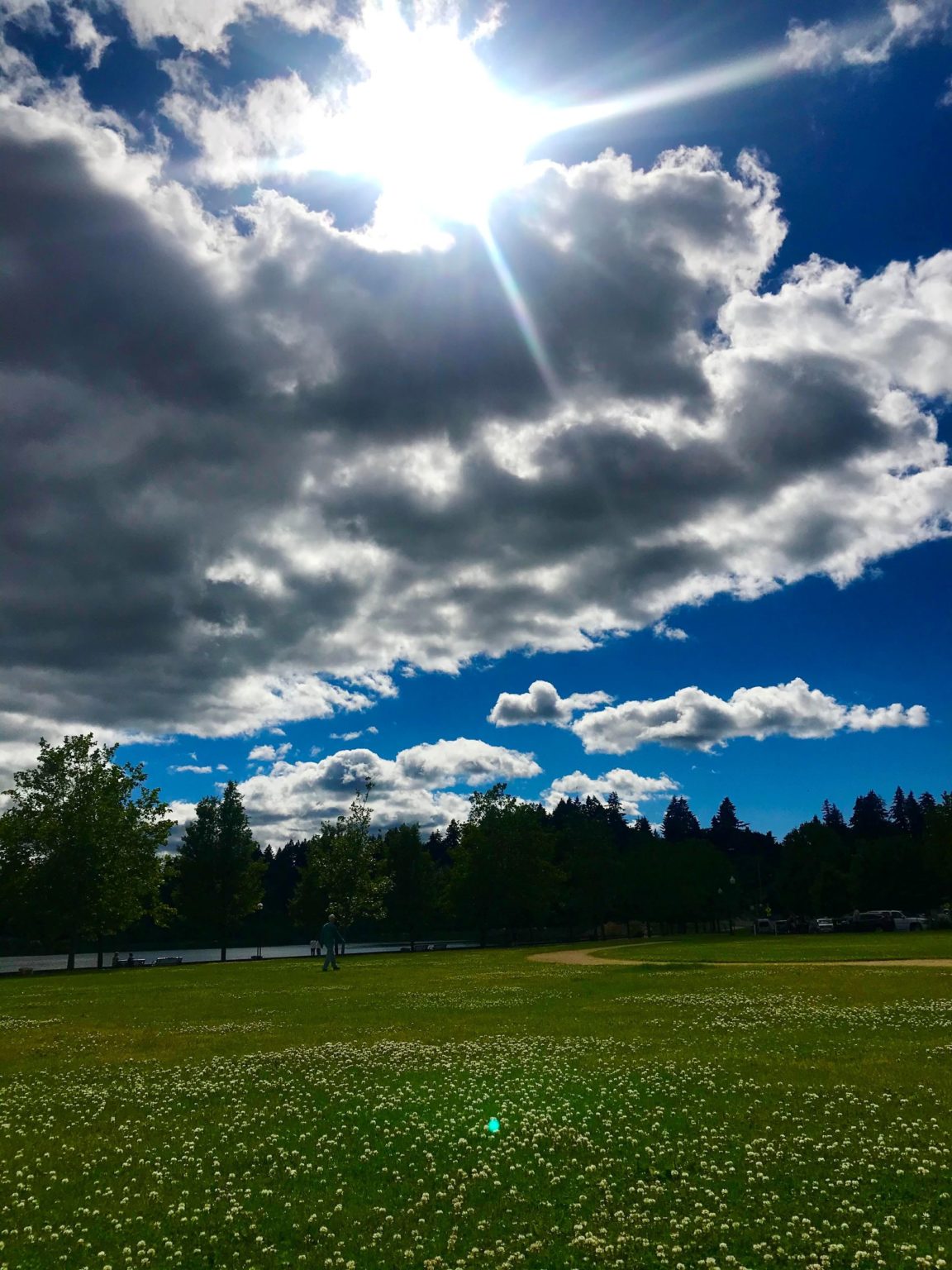 The Concept of Love | Tacoma Christian Counseling
