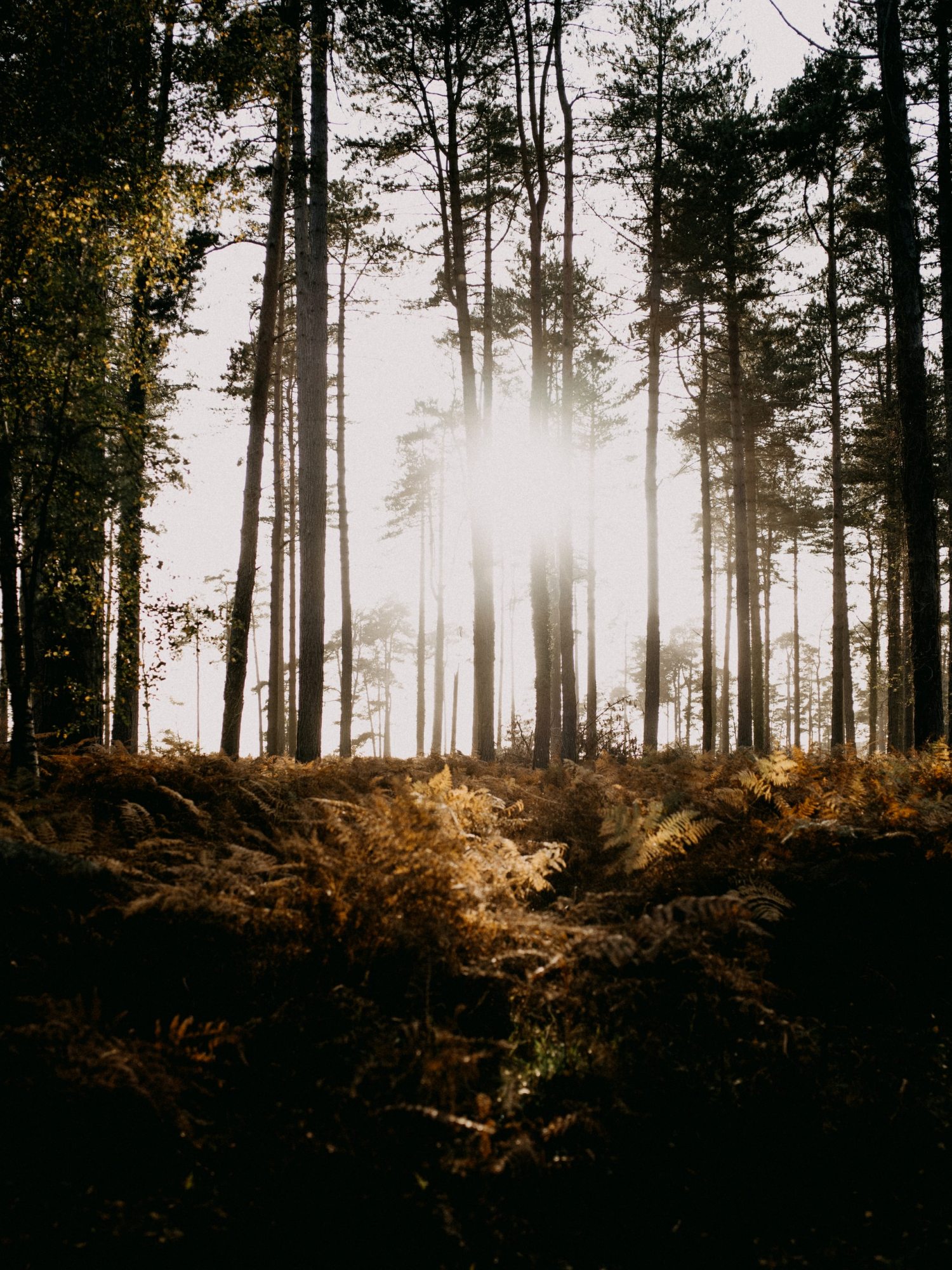 The Grieving Process: Grieving at Your Own Pace | Tacoma Christian ...