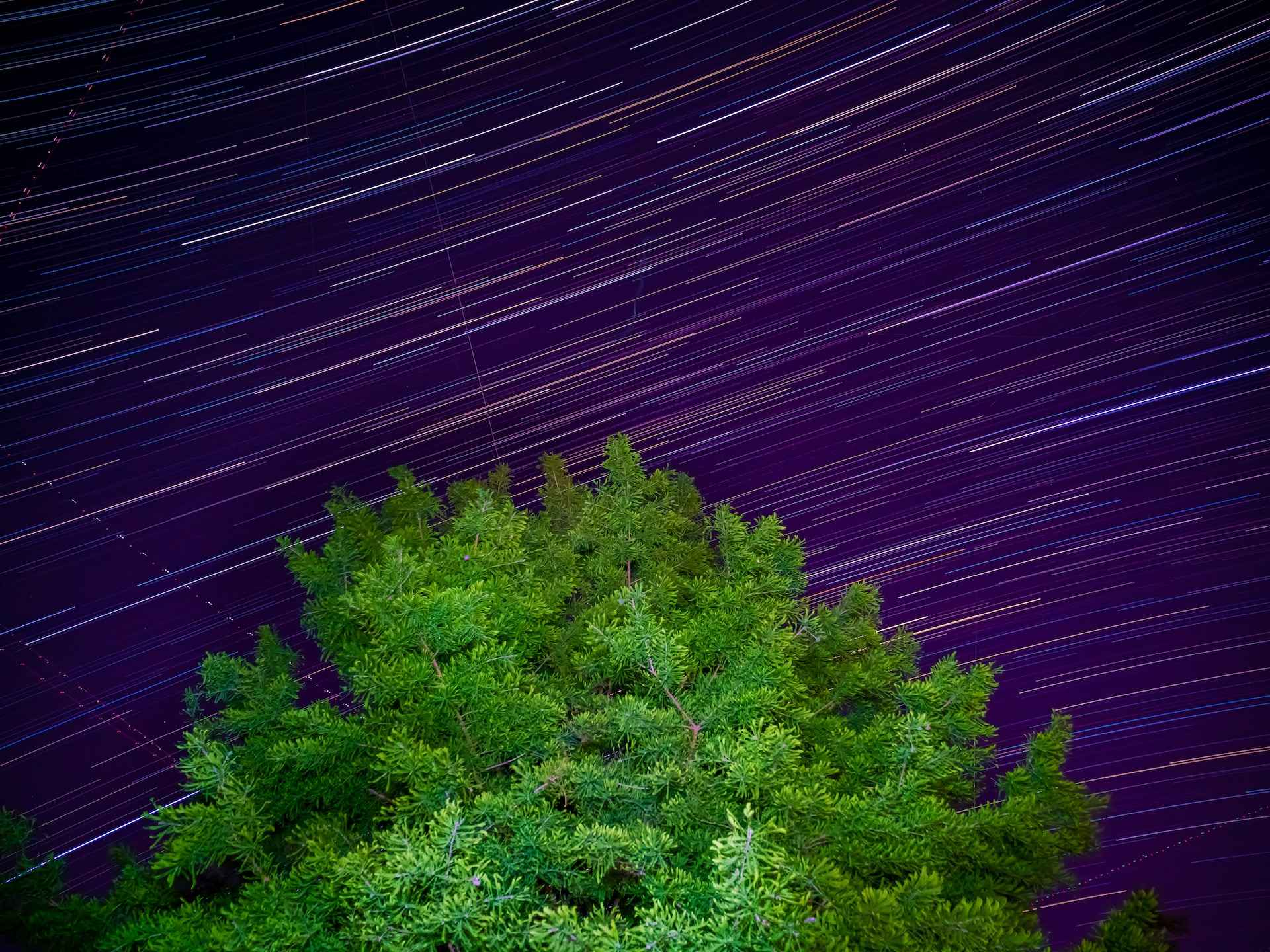 What God’s Word Says About Pride | Tacoma Christian Counseling