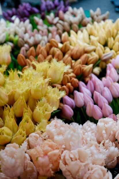 How Different Types of Attachment Styles Affect Romantic Relationships ...