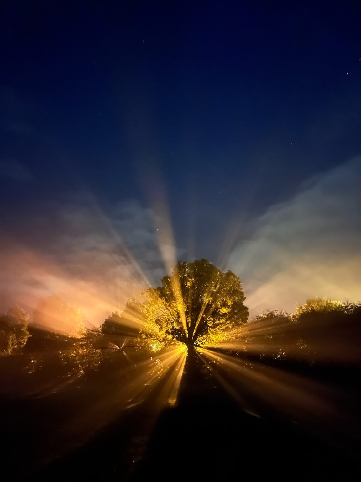Understanding the Grief Cycle | Tacoma Christian Counseling