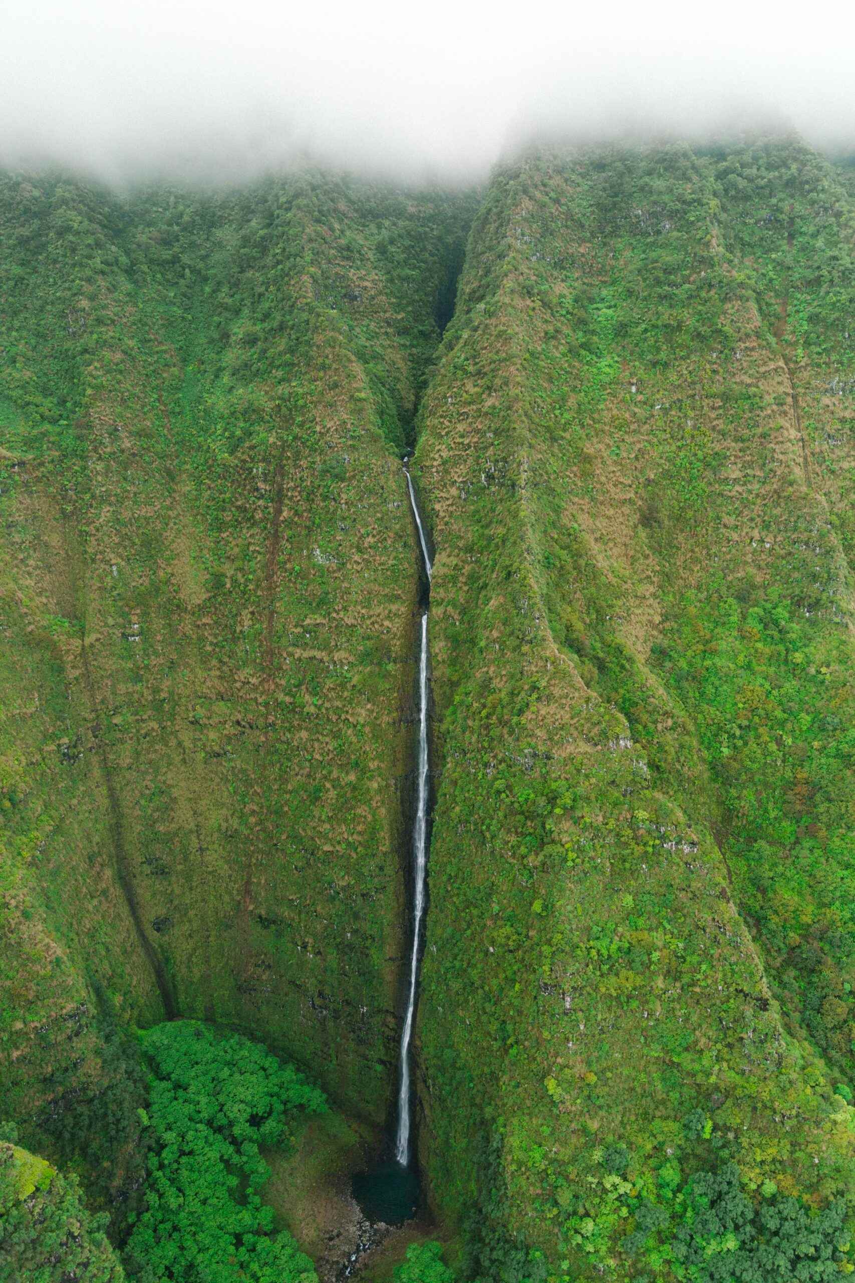 4 Major Reasons Why Anger Control Is An Important Life Skill | Tacoma ...