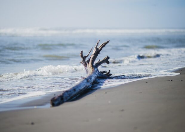 What is the Source of Worry? Does Constant Worrying Mean Something is ...